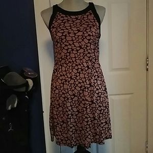 LOFT | Dresses | Ann Taylor Loft Dress | Poshmark